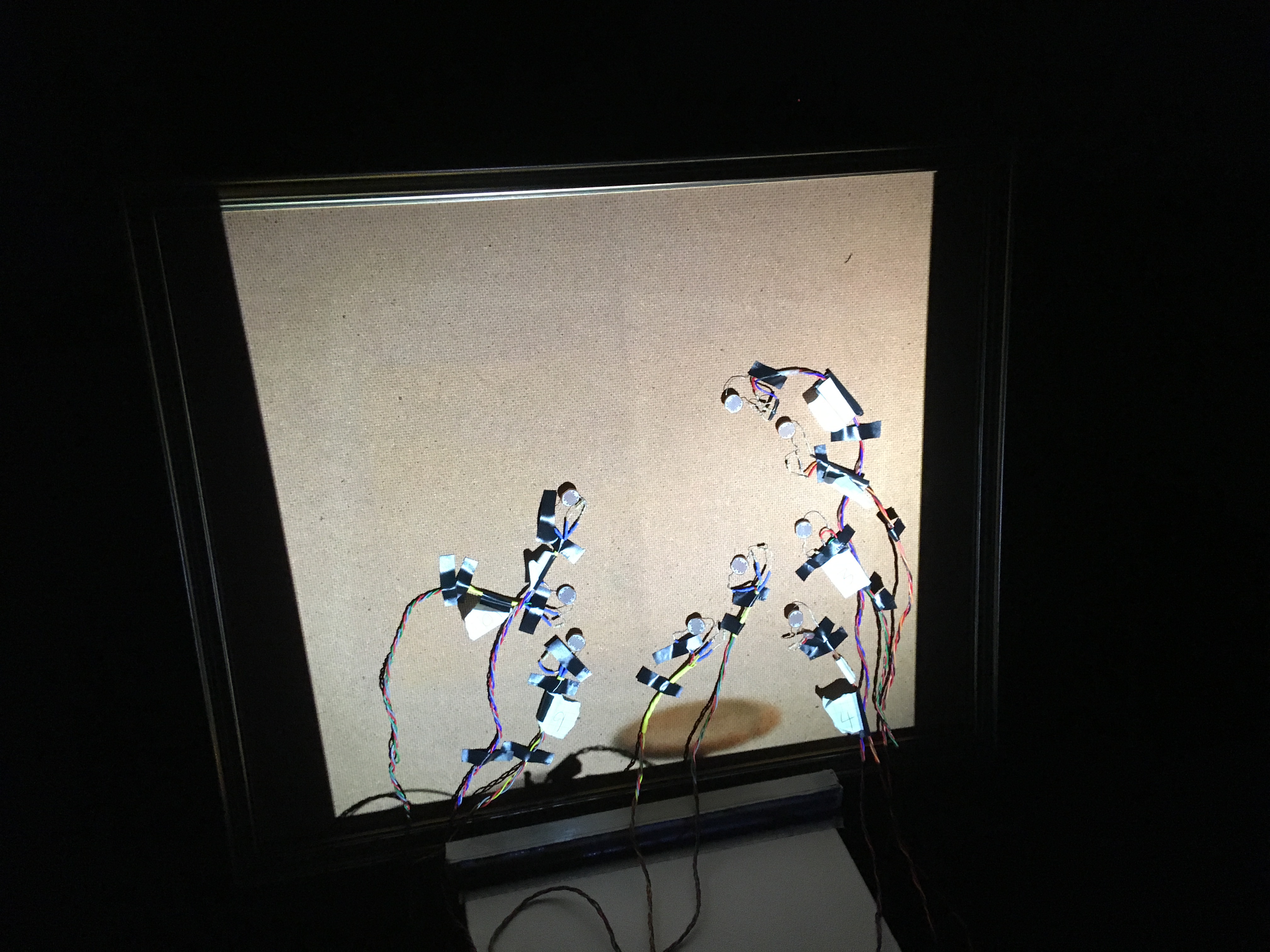 Trio Montage – semay wu